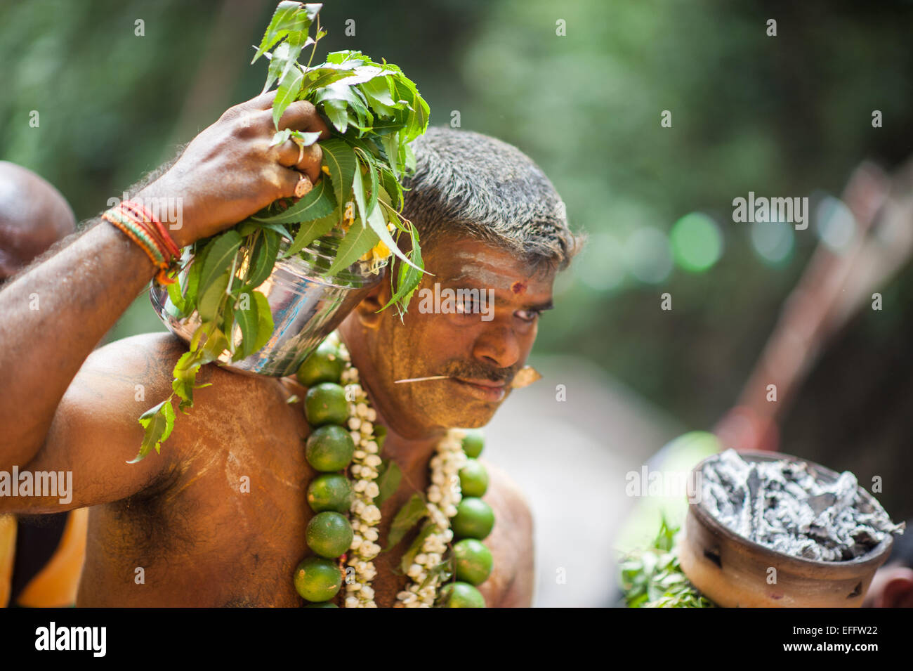 Hindu man carrying Kavadi during Thaipusam 2015 at Batu Caves, Malaysia ...