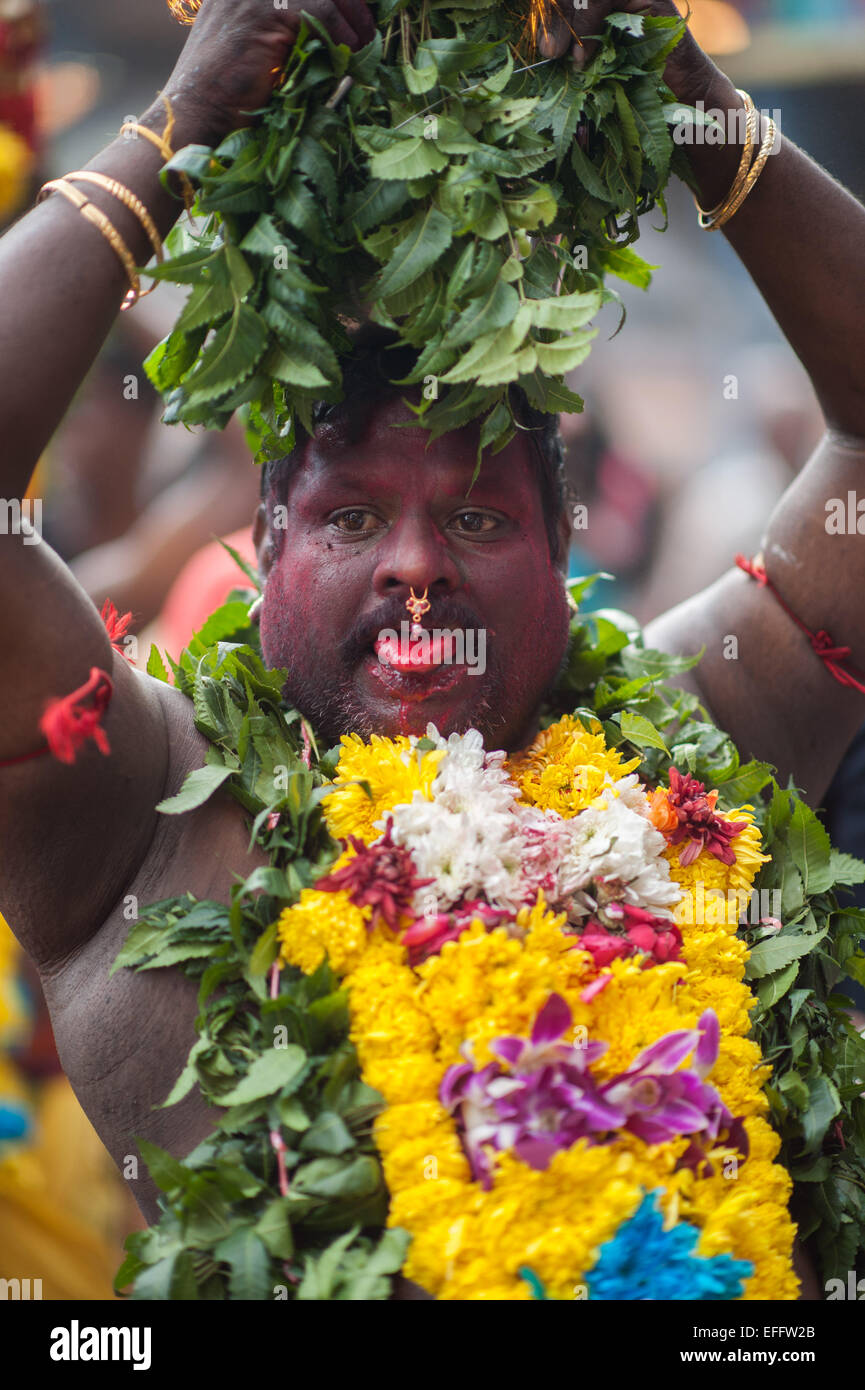 Hindu man carrying a Kavadi ( burden) containing milk during Thaipusum ...