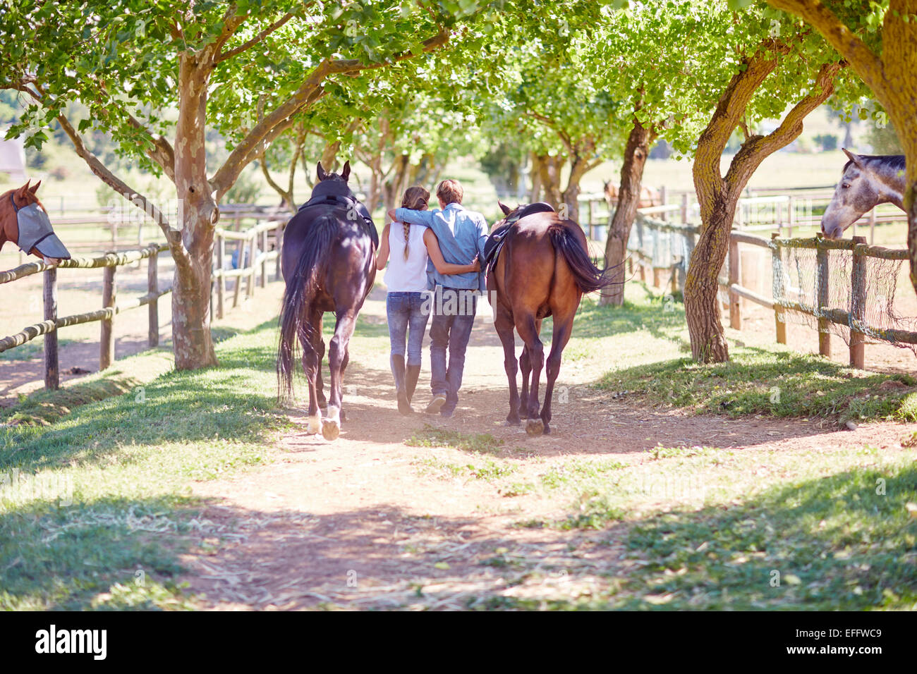 Young couple walking with horses at paddock Stock Photo - Alamy