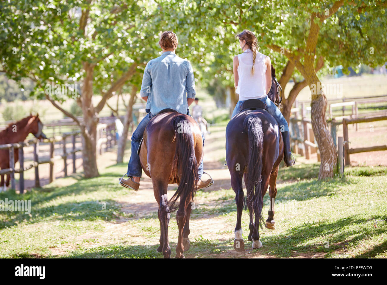 Young couple riding at paddock Stock Photo - Alamy
