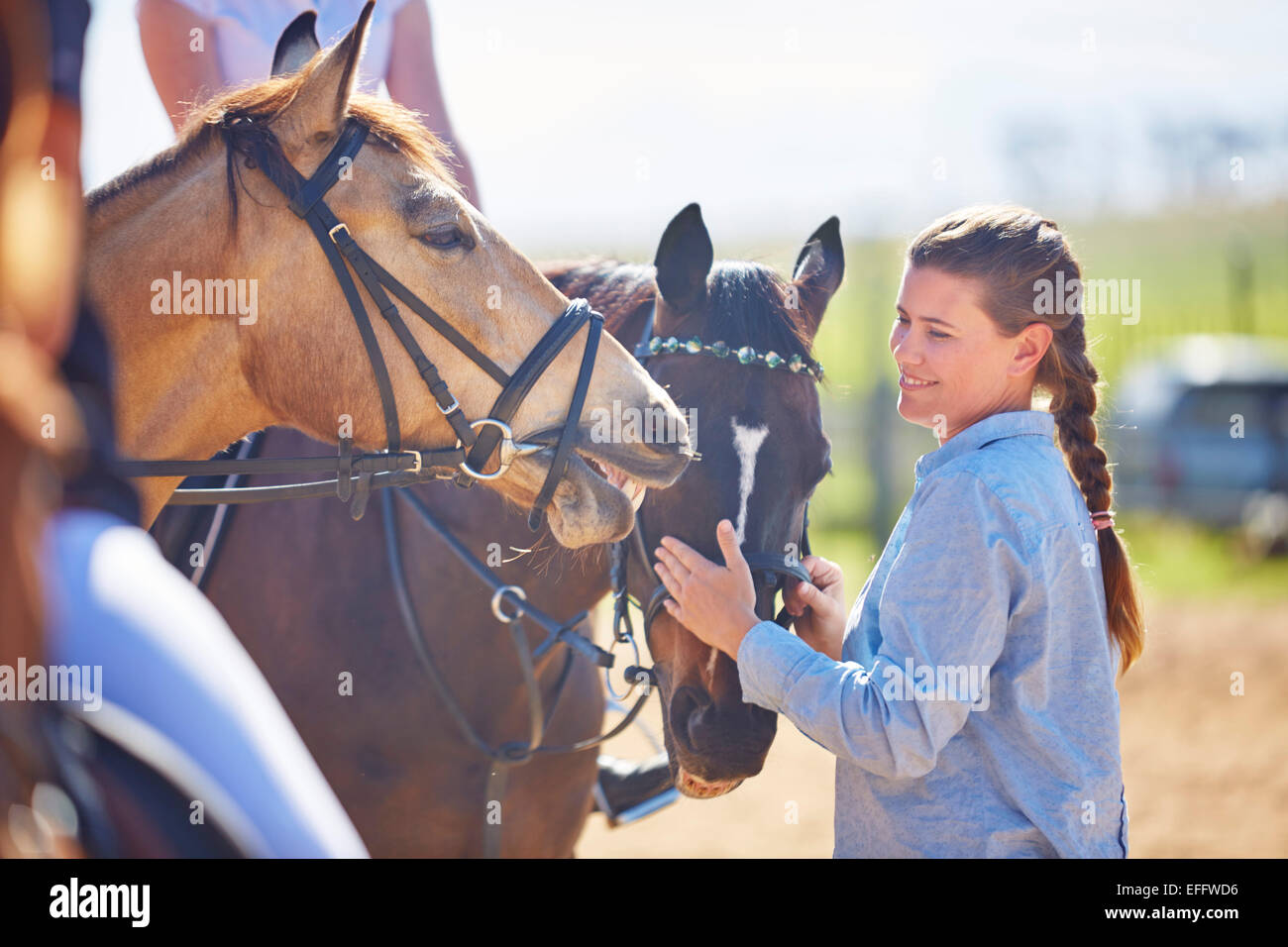 Smiling woman on riding ring with horses Stock Photo - Alamy