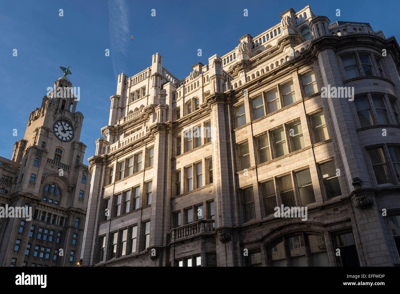 The famous Tower building ( foreground) and the Royal Liver building in ...