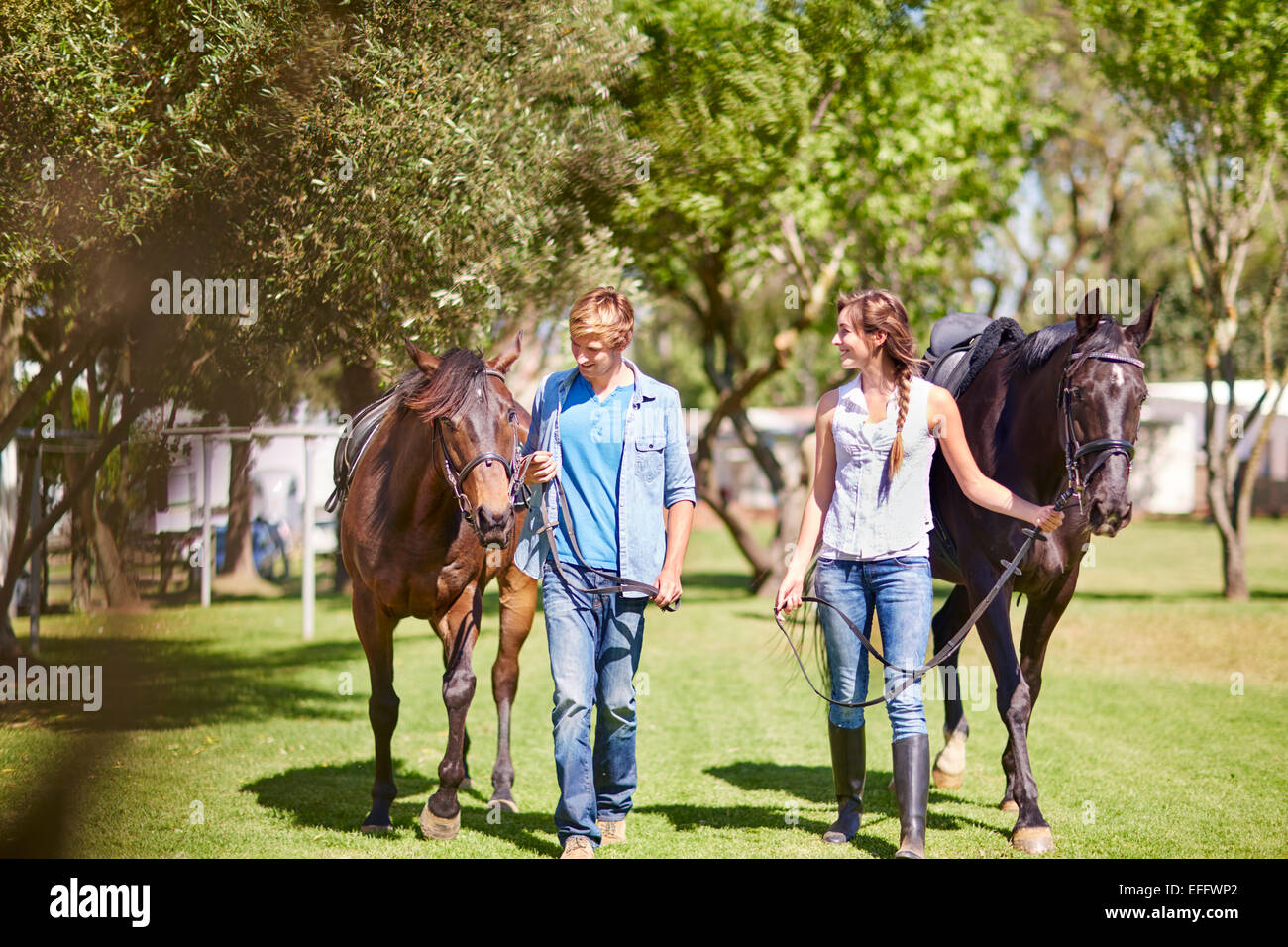 Young couple walking with horses on meadow Stock Photo - Alamy