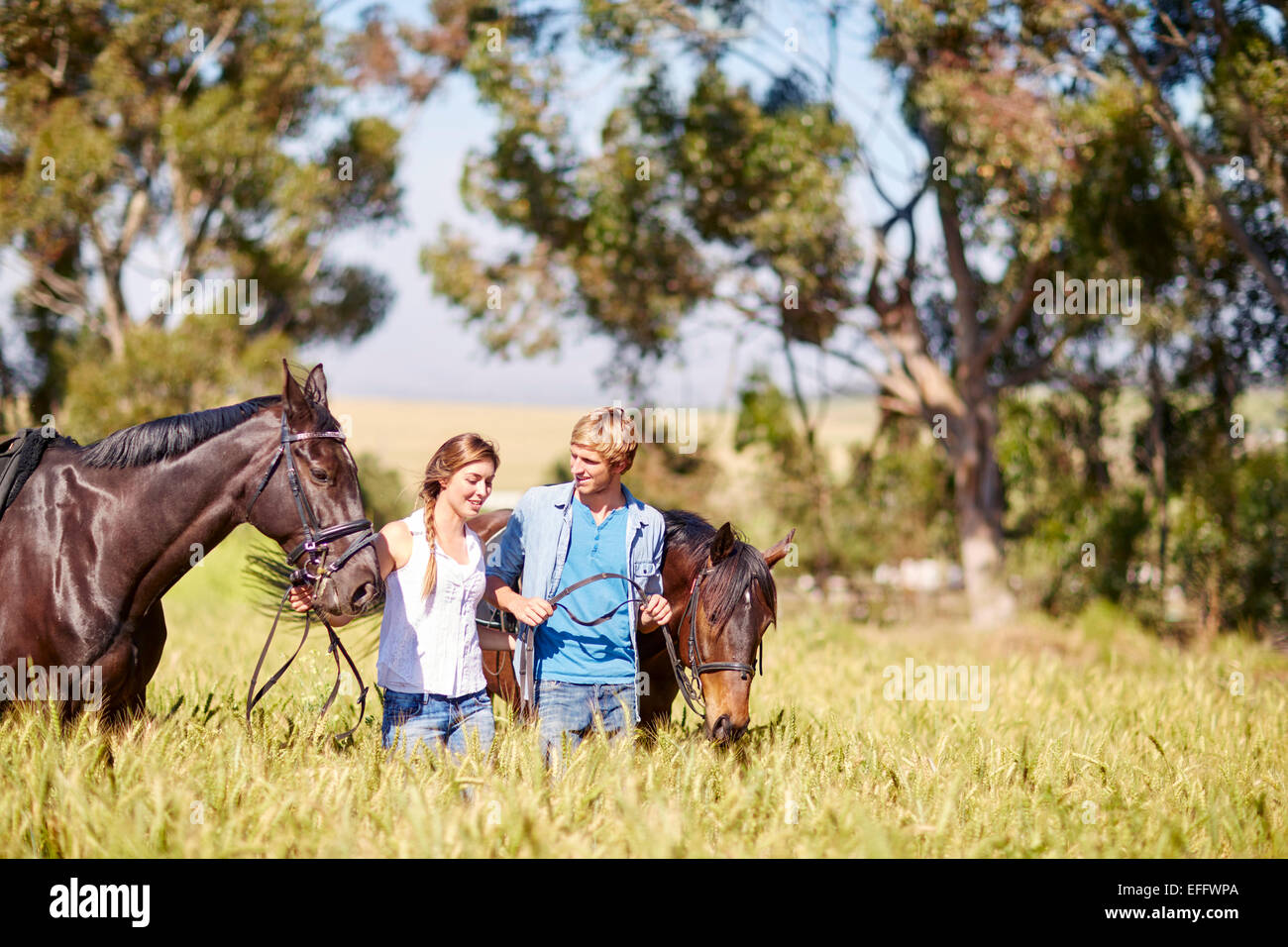Man walking to his horses hi-res stock photography and images - Alamy