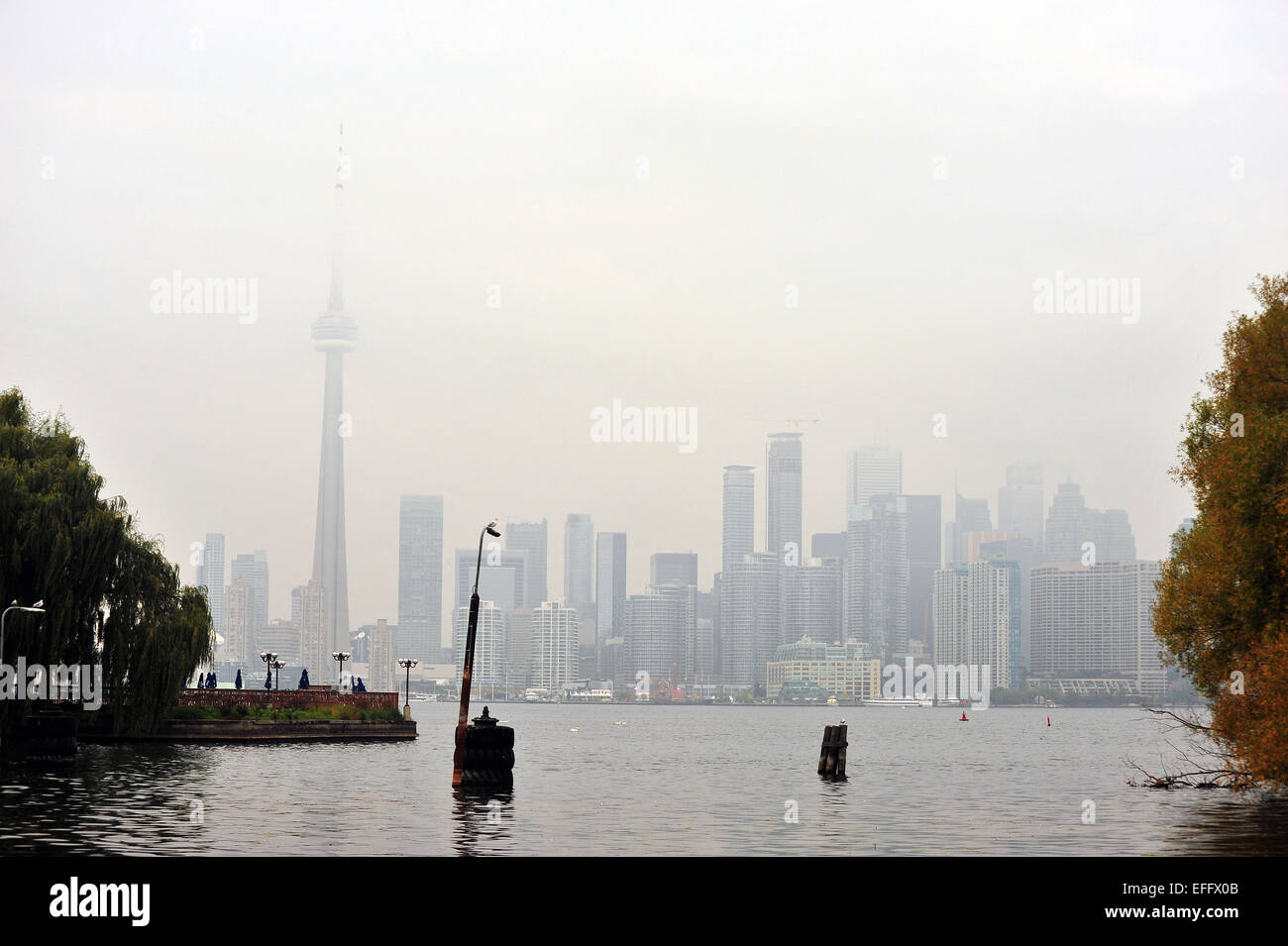 A misty view of Downtown Toronto including the CN tower viewed from ...