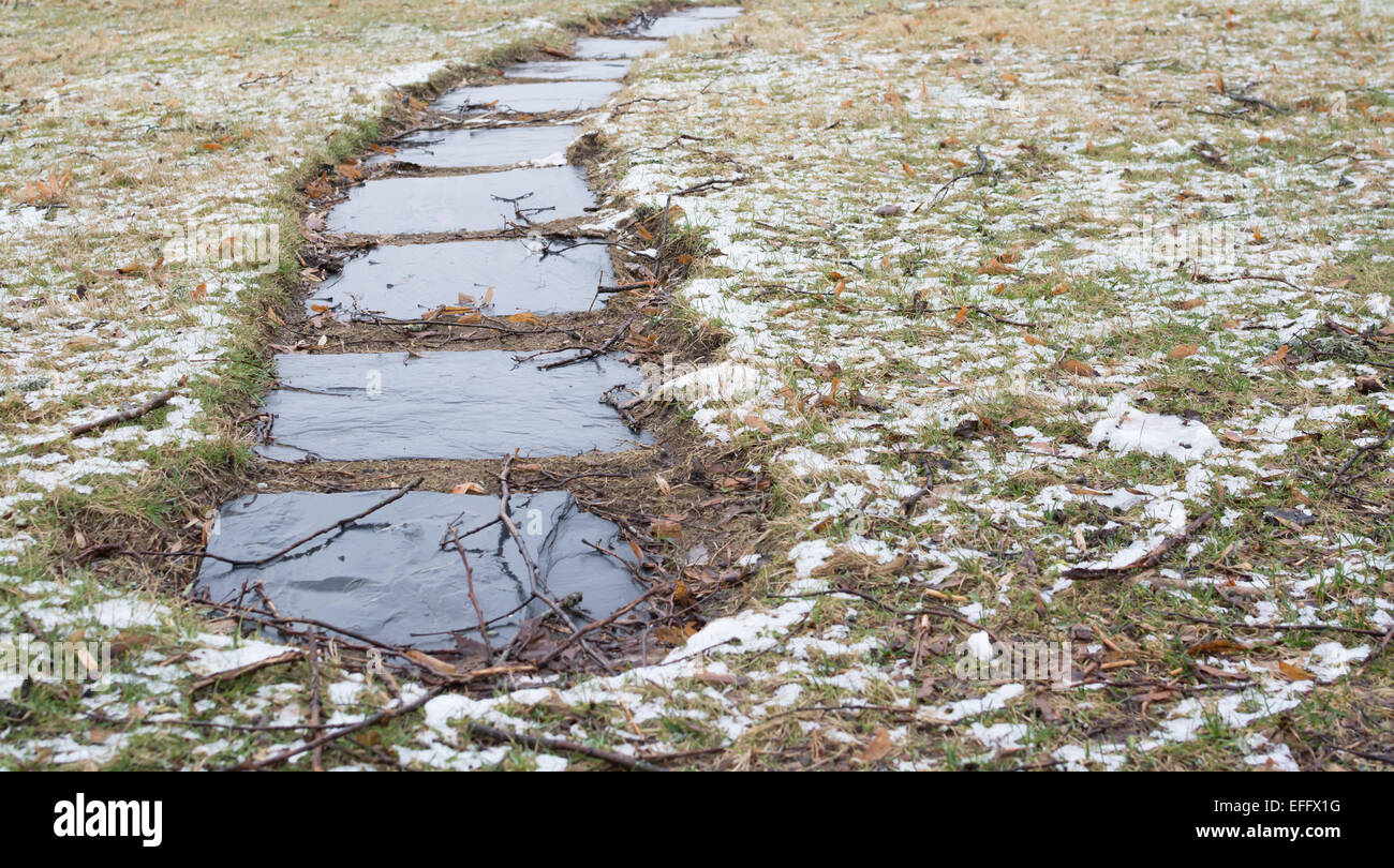 Stoned pathway. Pathway laid by black slate across a green lawn with ...