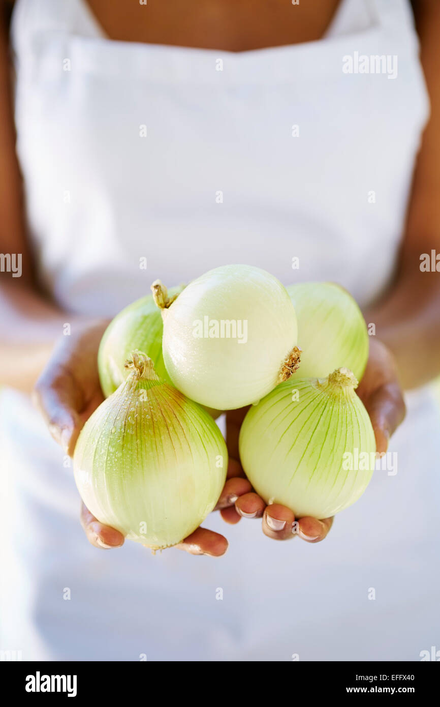 Woman's hands holding onions Stock Photo - Alamy
