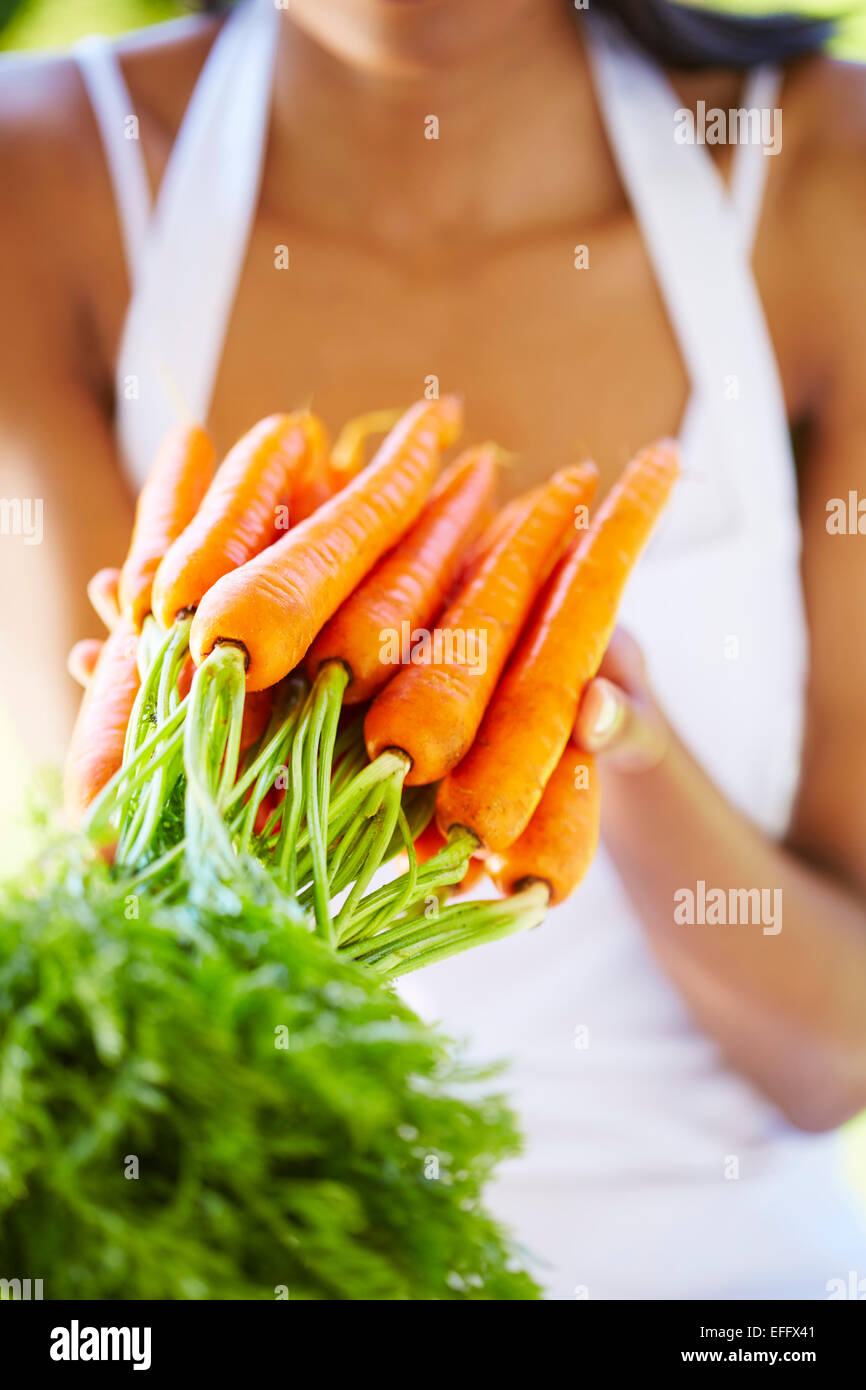 Human hands holding carrots hi-res stock photography and images - Alamy