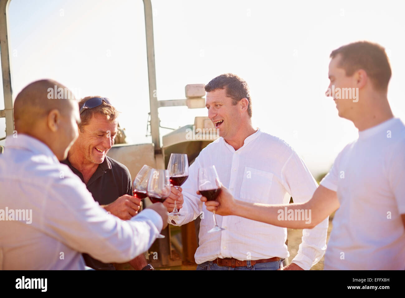 South Africa, Wine growers tasting wine in vinyard Stock Photo - Alamy