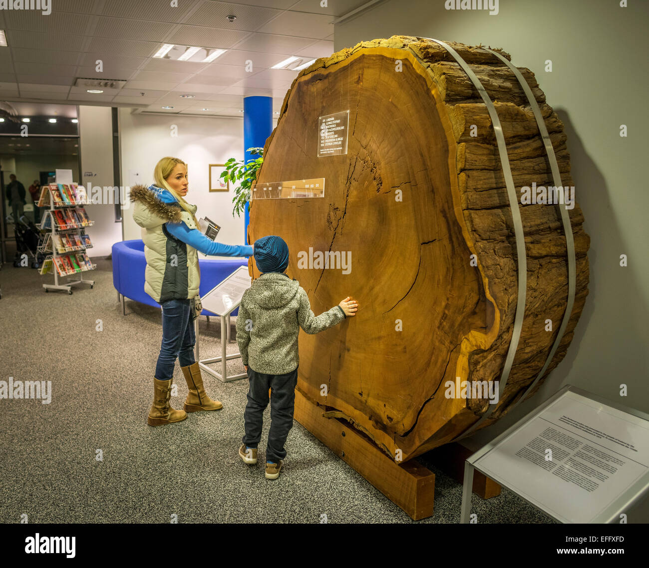 Show me your rings hi-res stock photography and images - Alamy