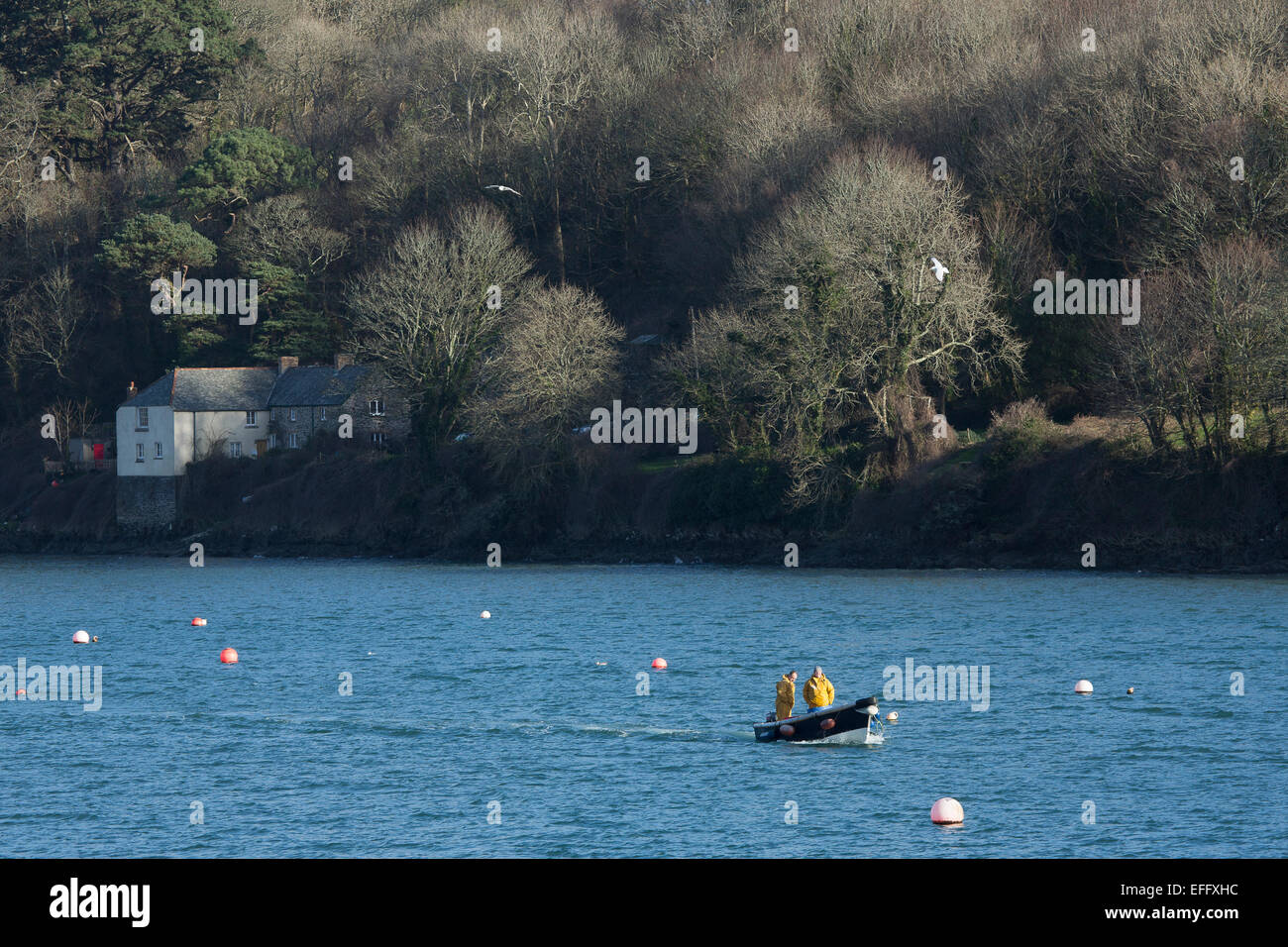 Helford river fal hi-res stock photography and images - Alamy