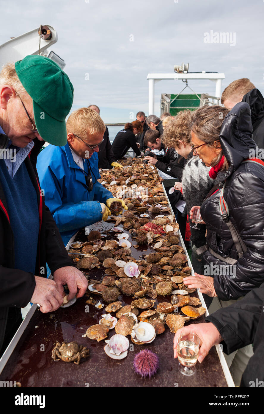 People eating fresh seafood, which was caught minutes ago, aboard a ...