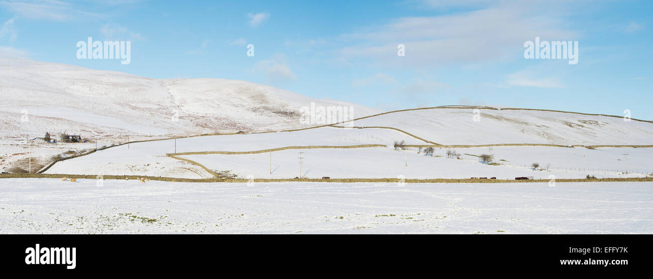 Fields in snow hi-res stock photography and images - Alamy