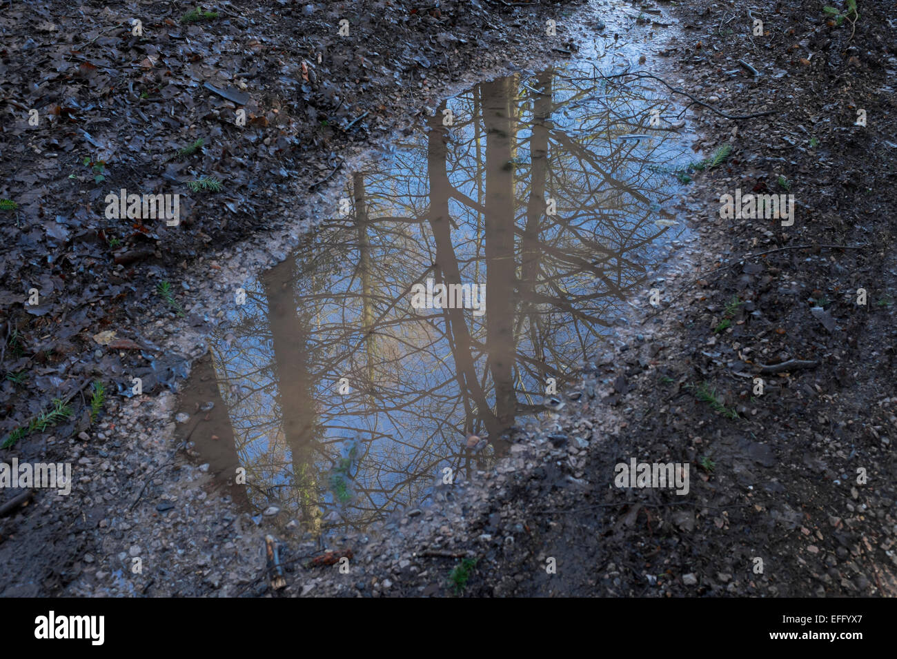 Puddle sky hi-res stock photography and images - Alamy