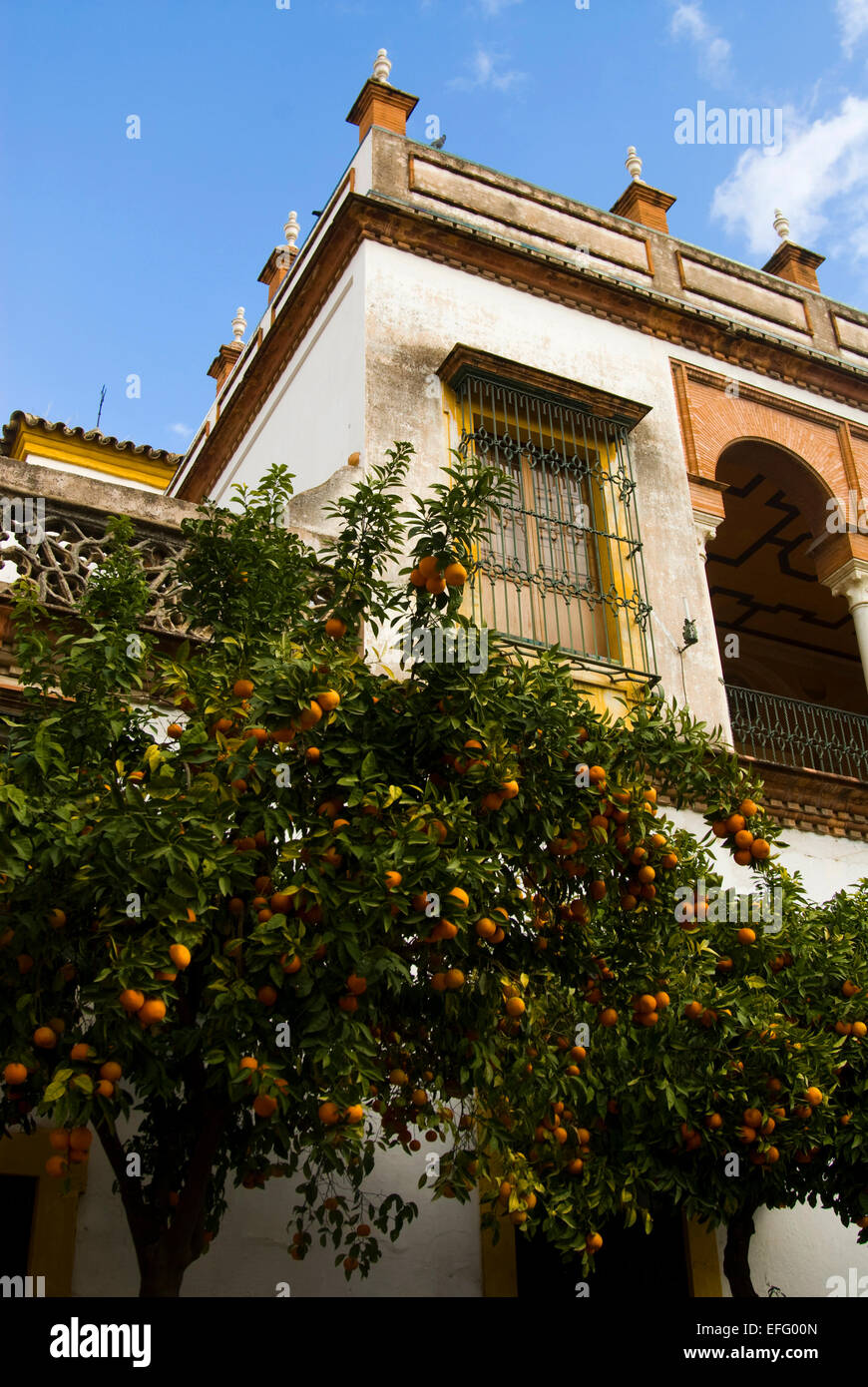 Orange tree, architecture, Seville, Spain Stock Photo - Alamy