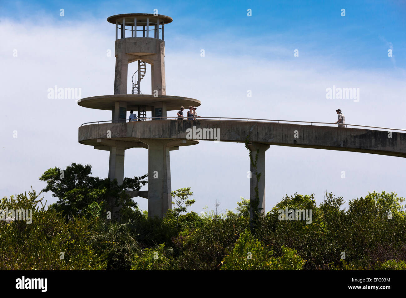 Shark valley everglades hi-res stock photography and images - Alamy