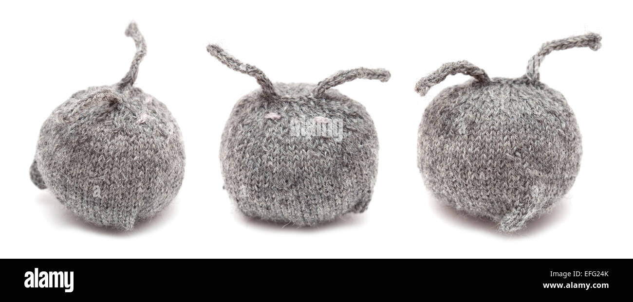 Fat rabbit Cut Out Stock Images & Pictures - Alamy