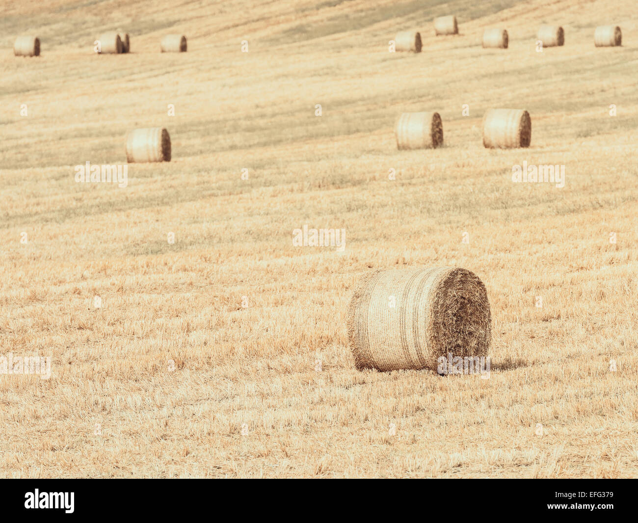 Vintage effect hi-res stock photography and images - Alamy