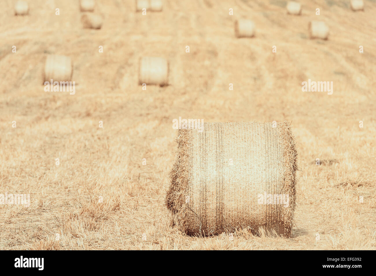 Vintage effect hi-res stock photography and images - Alamy