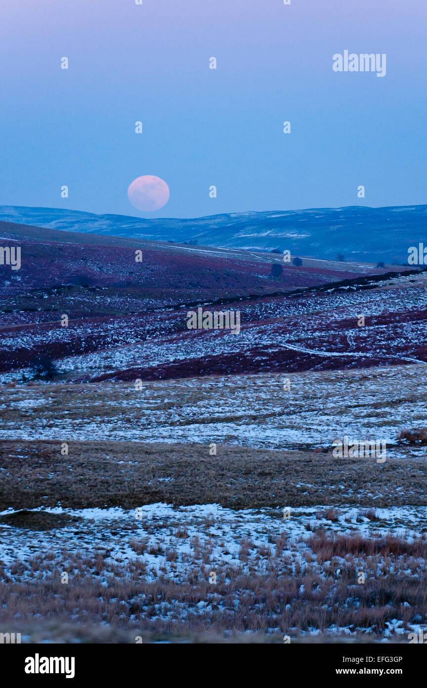 Mynydd Epynt, Powys, Wales, UK. 3rd February, 2015. Temperatures are ...