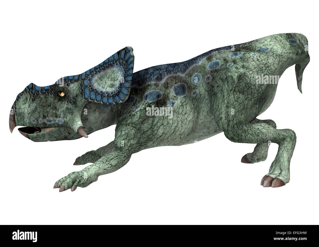 3D digital render of a dinosaur protoceratops isolated on white ...