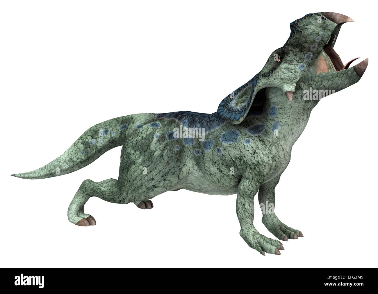 3D digital render of a dinosaur protoceratops isolated on white ...
