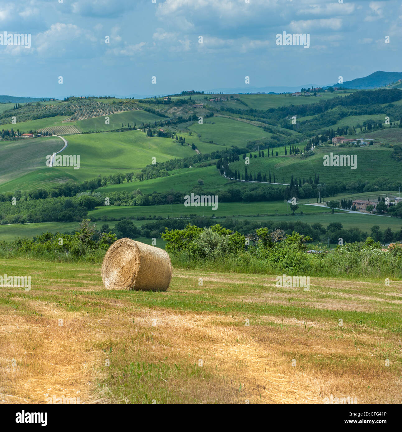 image of typical tuscan landscape Stock Photo - Alamy