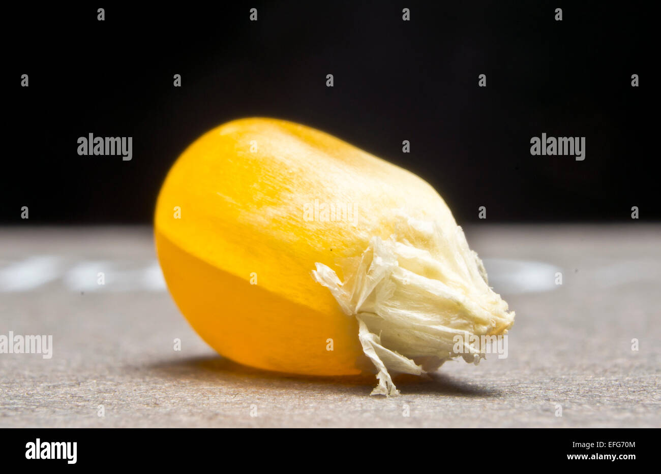 Micro grain hi-res stock photography and images - Alamy