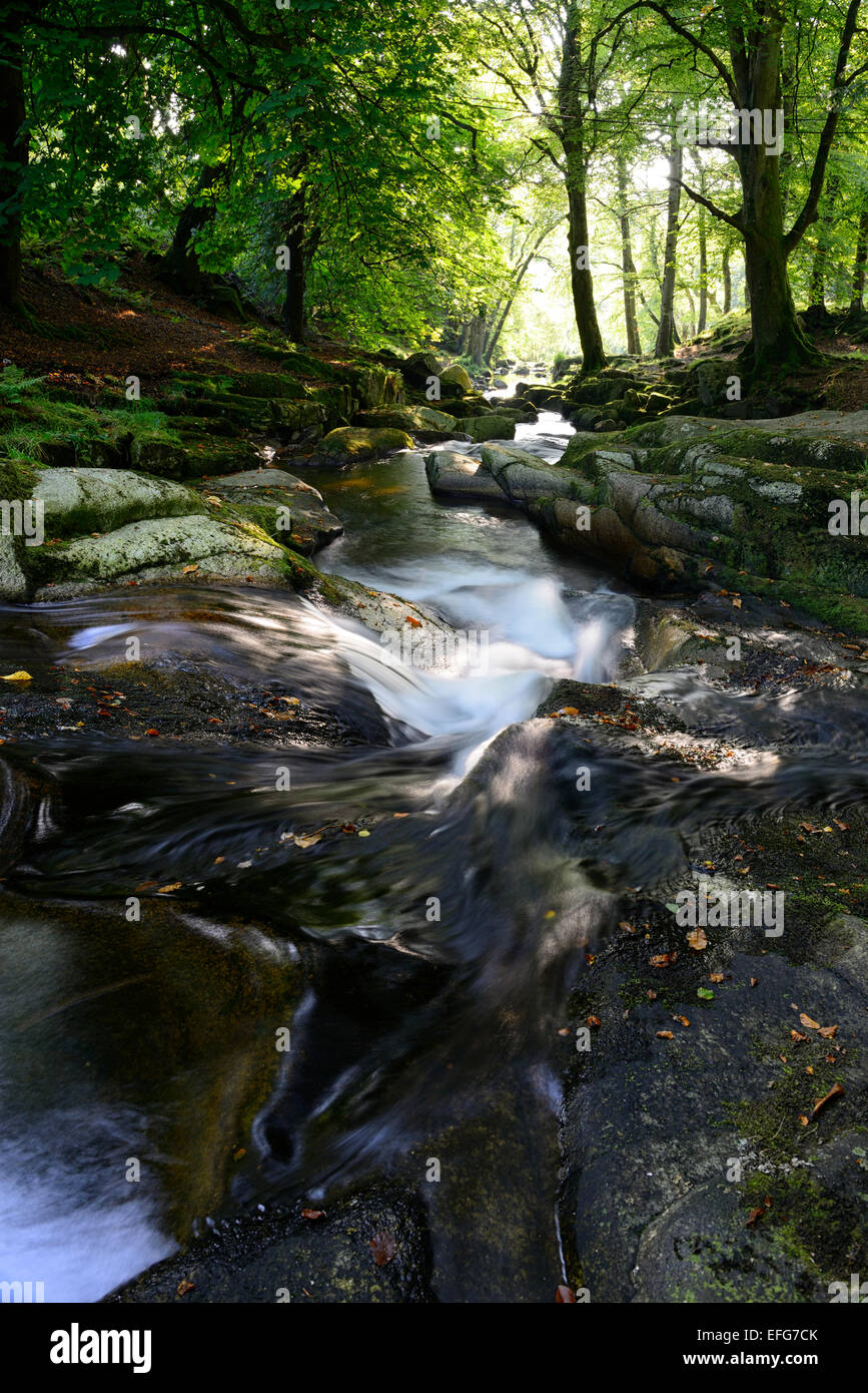 Cloghleagh River waterfall summer rural scene scenic irish sidelit ...