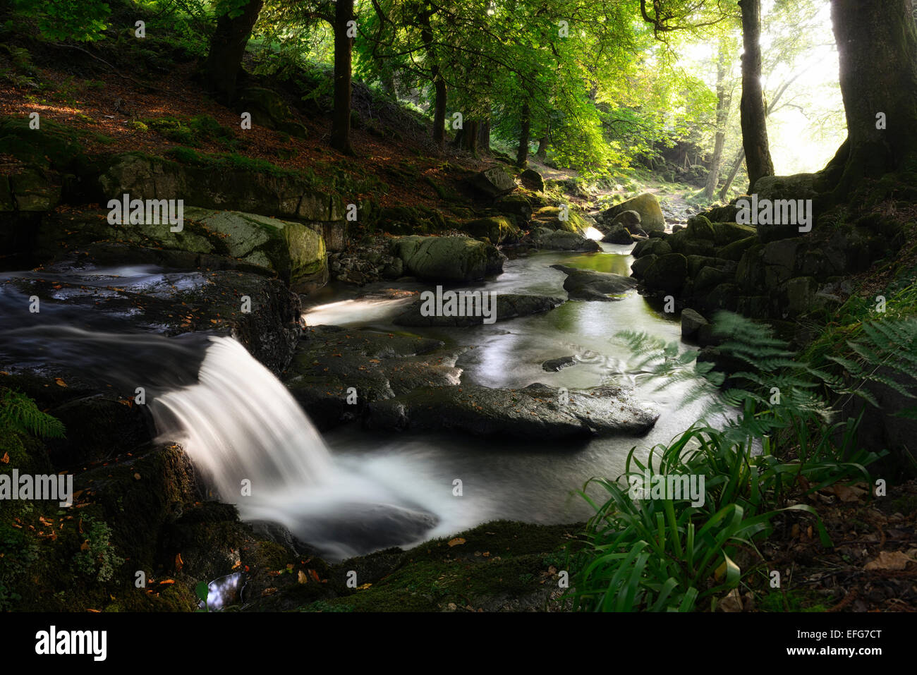 Irish Springs Waterfalls