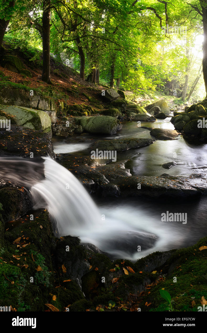 Cloghleagh River waterfall summer rural scene scenic irish sidelit ...