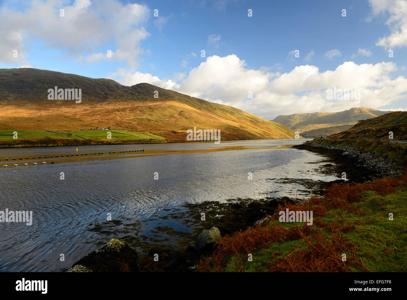 Killary fjord and ireland hi-res stock photography and images - Alamy