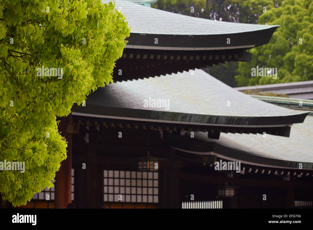 Meiji jingu temple hi-res stock photography and images - Alamy