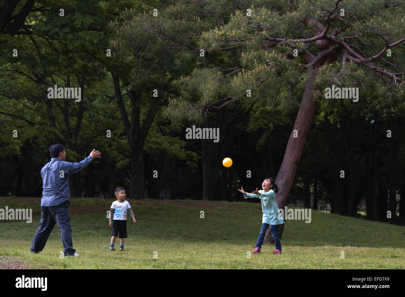 Man and children playing catch in Yoyogi park, Harajuku, Tokyo, Japan ...