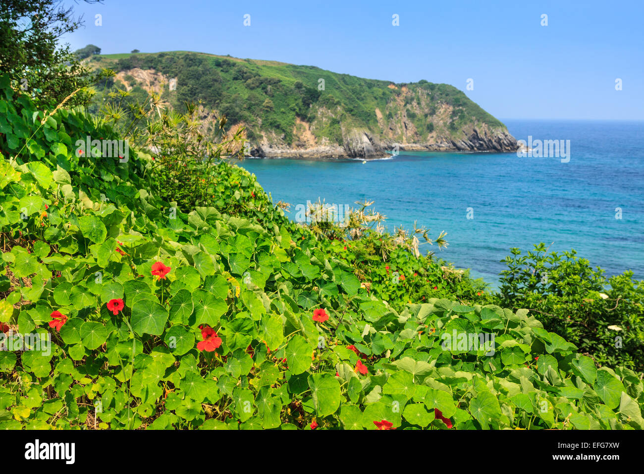 Beach of Pechon, Cantabria, Spain Stock Photo - Alamy