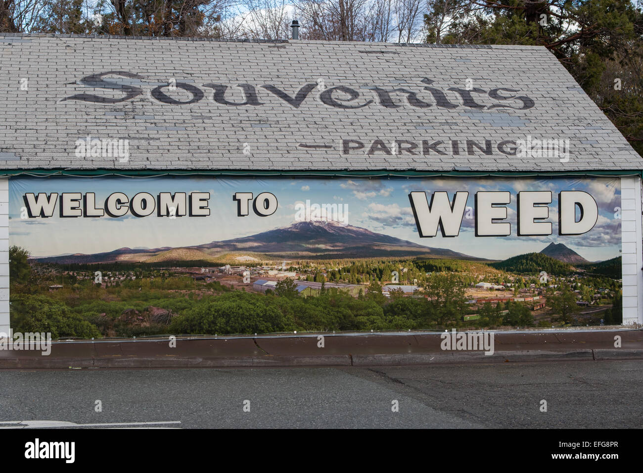 Welcome to Weed sign on a souvenir store in the City of Weed Siskiyou ...