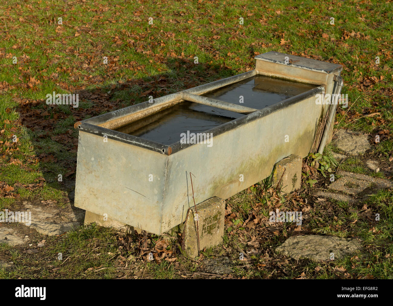 Farm water trough hi-res stock photography and images - Alamy