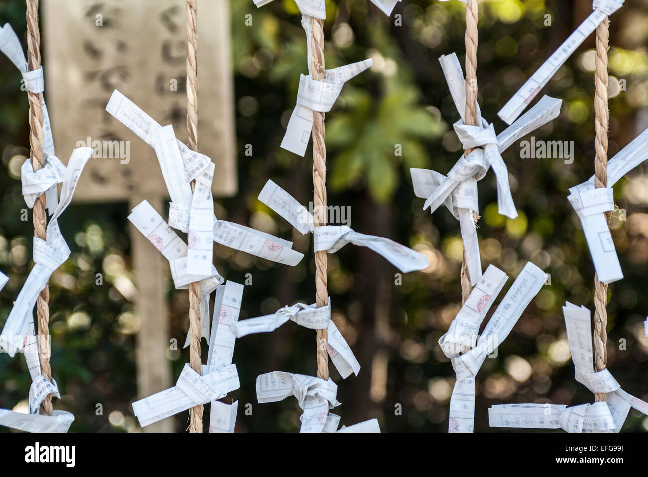 Japan prayers shinto shrine devotion shinto hi-res stock photography ...