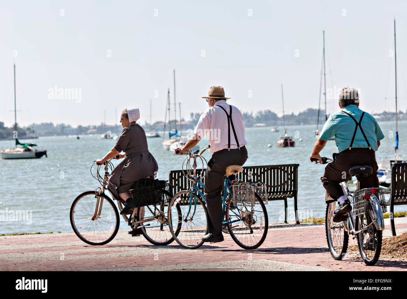 Amish people ride bicycles along the waterfront Sarasota, Florida Stock ...