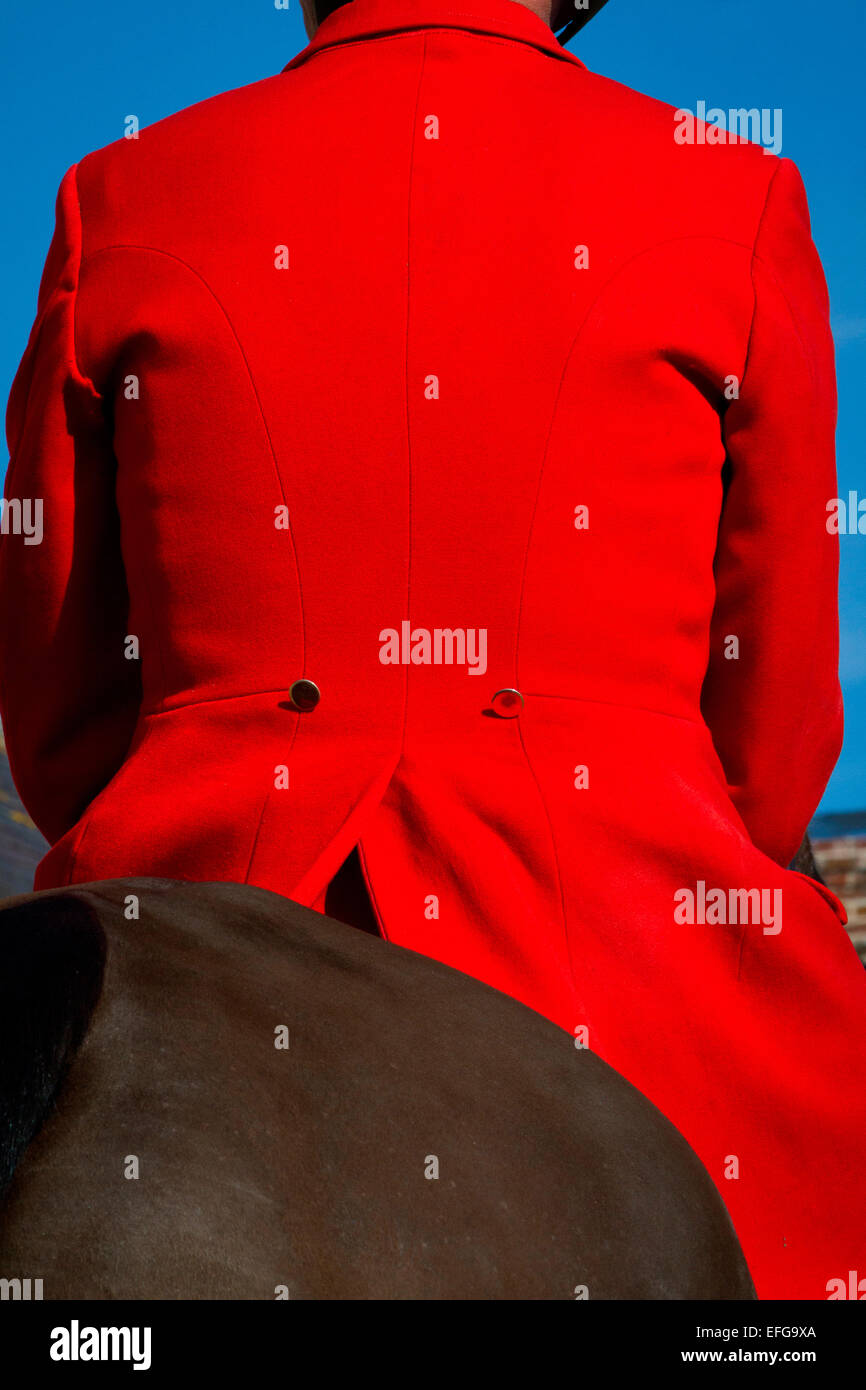 Rear view of huntsman on horseback in red hunting jacket at hunt meet ...