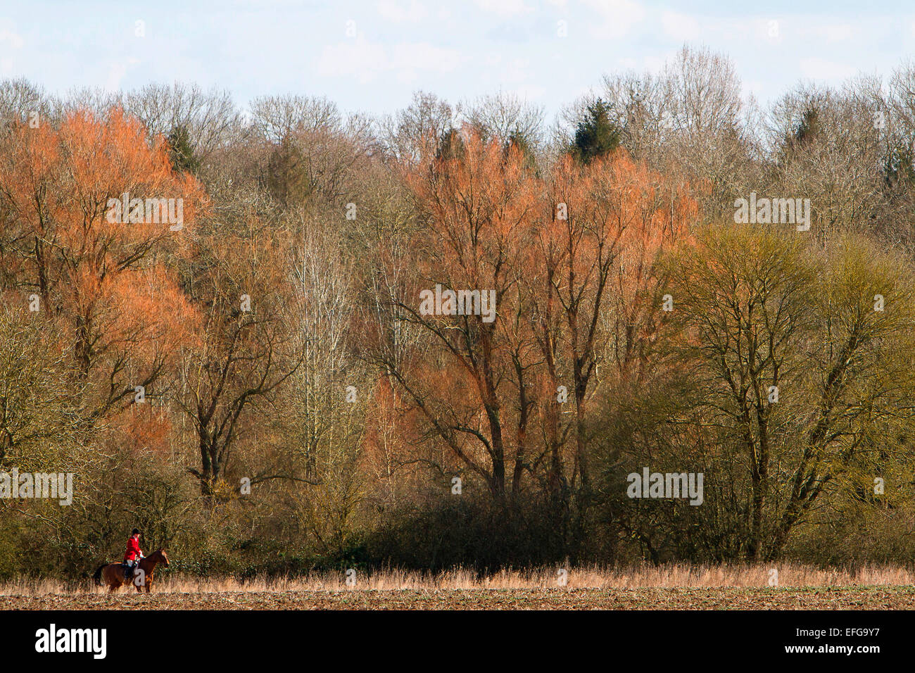 Distant view of huntsman riding through field landscape in autumn ...