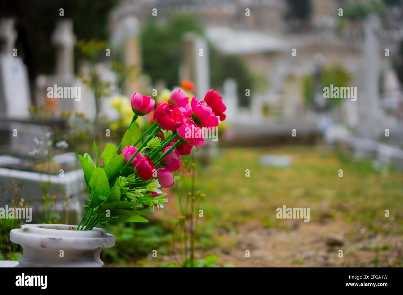 Cemetery flowers hi-res stock photography and images - Alamy