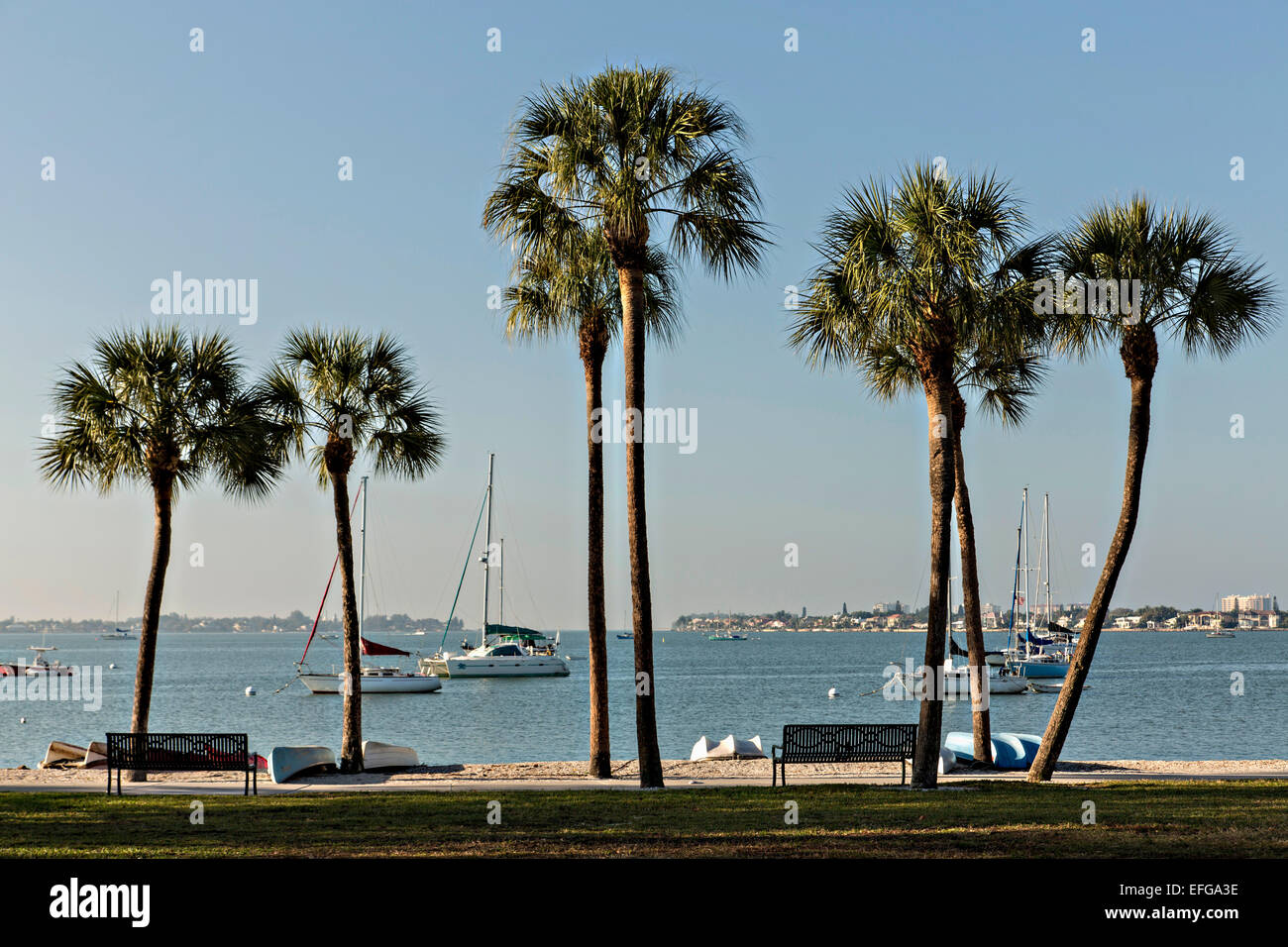 View of Sarasota Bay from Bayfront Park Sarasota, Florida Stock Photo ...