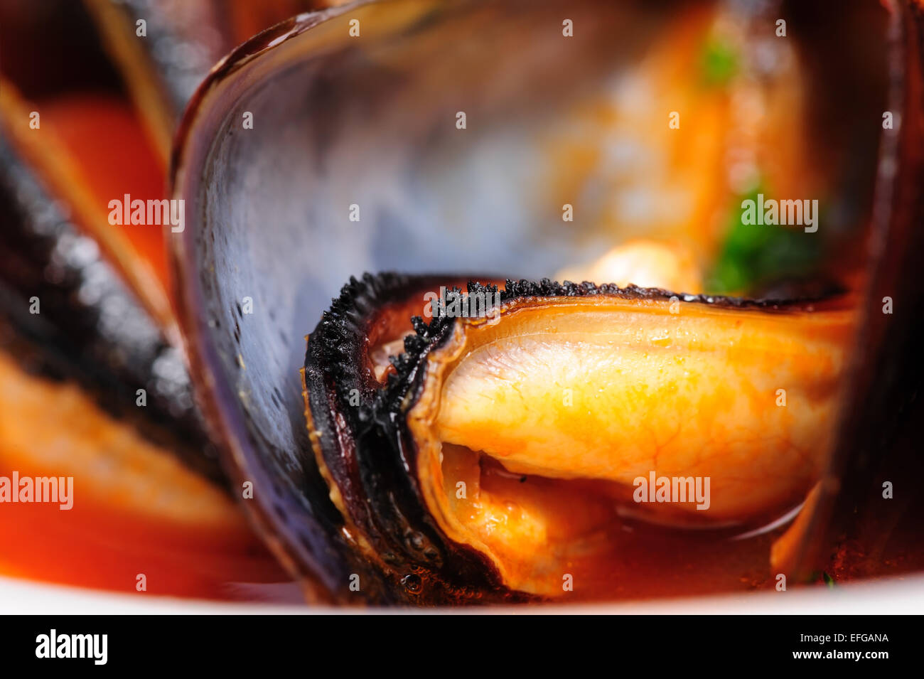Mussels in italian rustic style Stock Photo - Alamy
