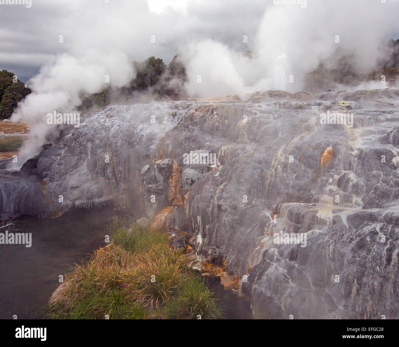 Te puia maori cultural centre hi-res stock photography and images - Alamy