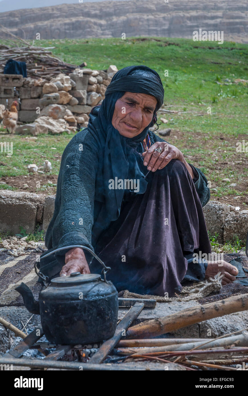 Bakhtiari Woman, Chaharmahal and Bakhtiari Province, Iran Stock Photo ...