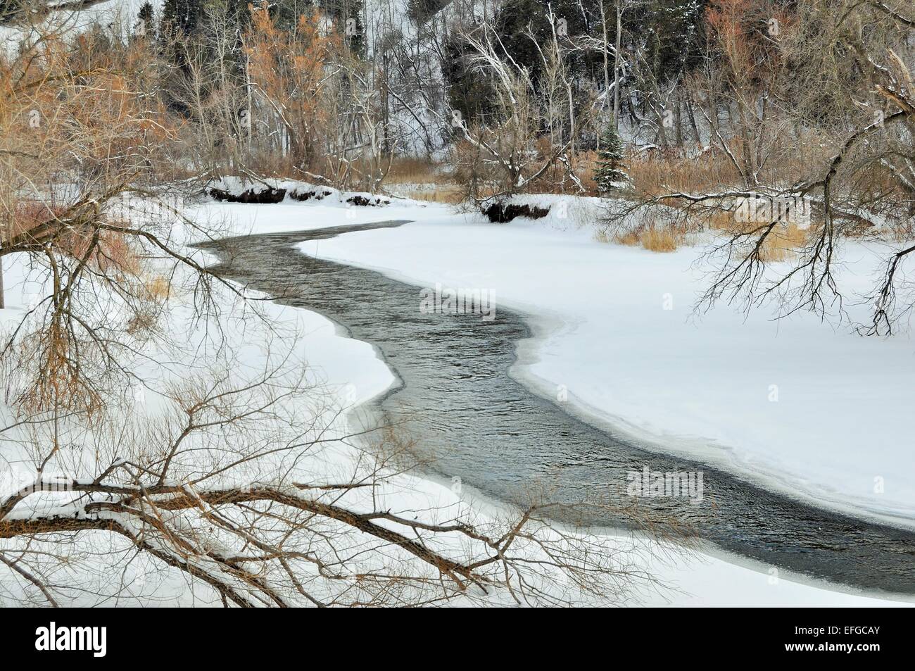 fast running stream Stock Photo - Alamy