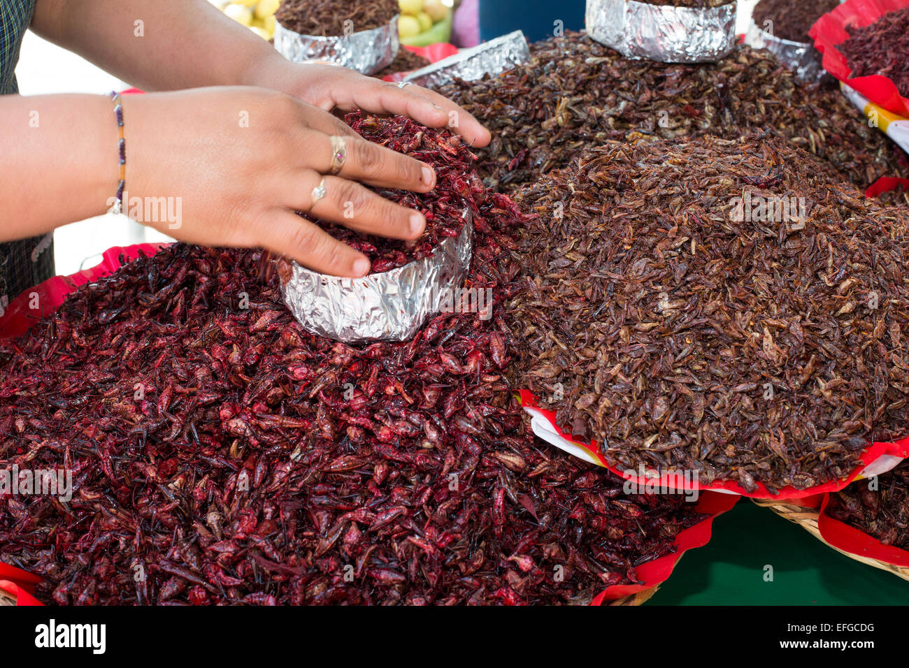 Oaxaca, Mexico - Grasshoppers, locally called chapulines, on sale at ...