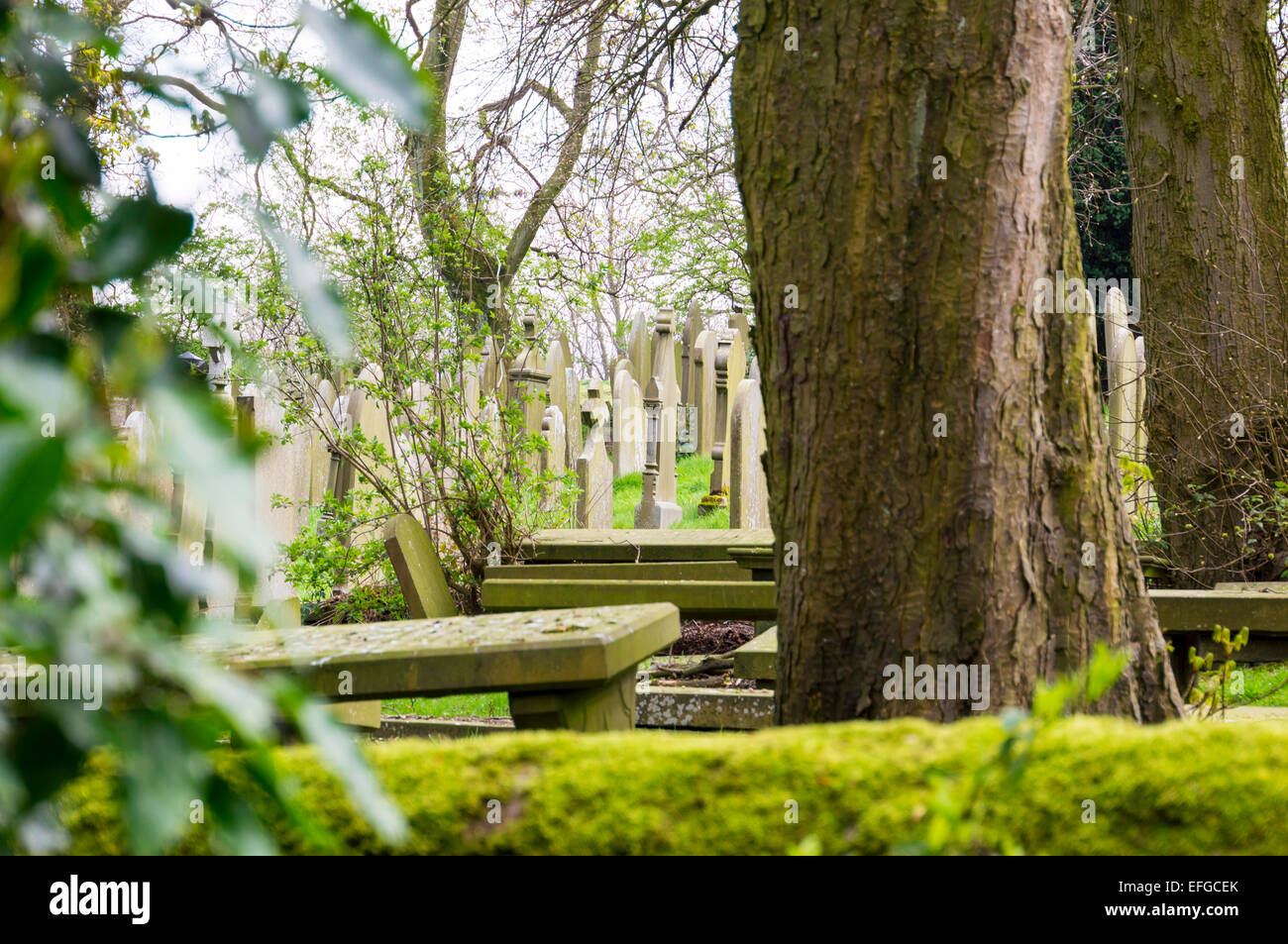 cemetery, howarth, yorkshire, england Stock Photo - Alamy
