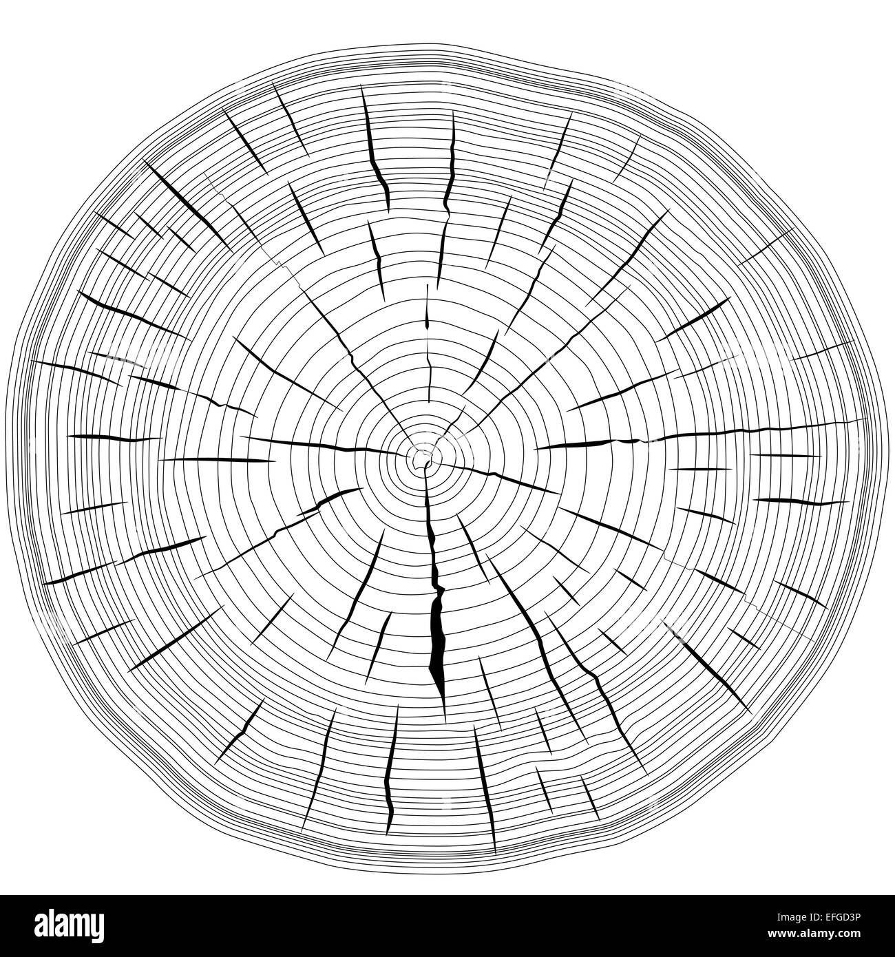Cut tree trunk Black and White Stock Photos & Images - Alamy